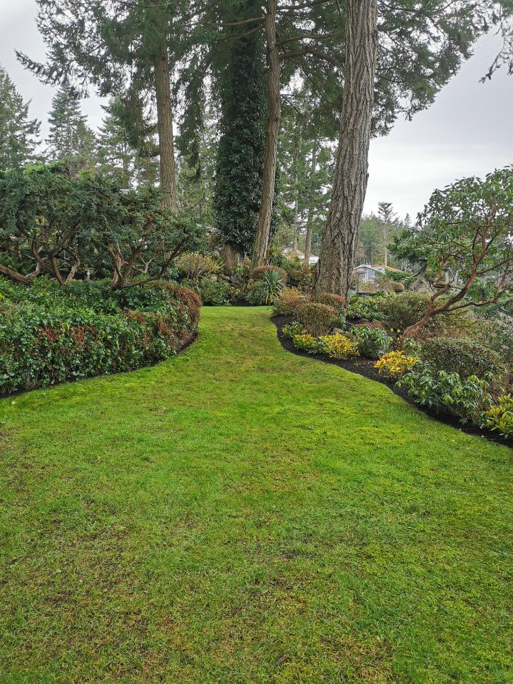 Preparing Your Lawn for Fall in Victoria BC with YRYM - Year Round Yard ...